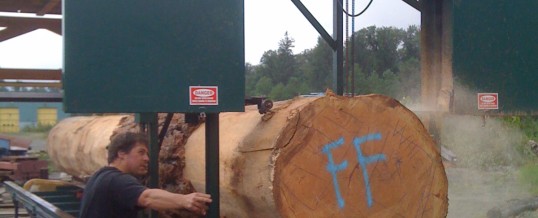 Forest Friendly Wood Product | Whistler Blackcomb Resort